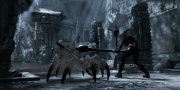 Giant Spiders - WikiRaider