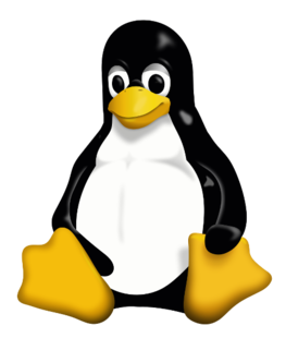Linux - WikiRaider
