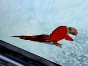 Mutant Scientists - WikiRaider